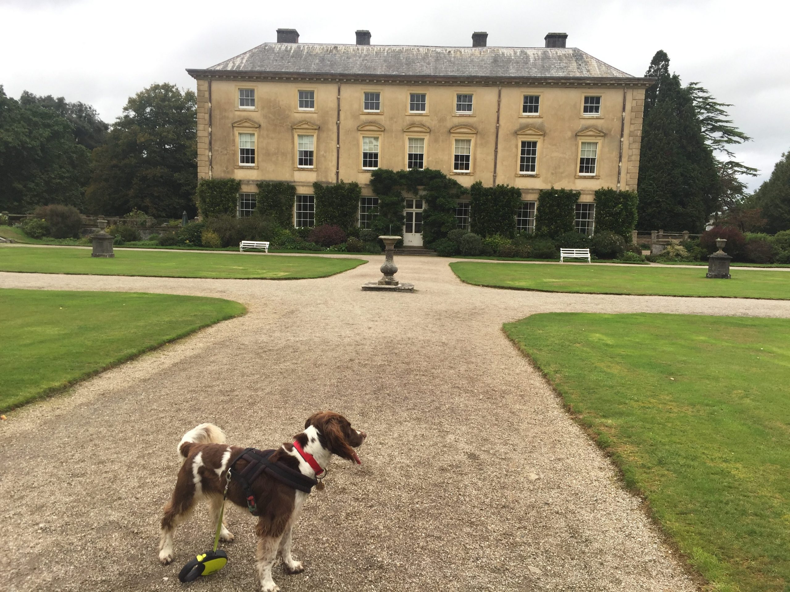 Pencarrow House - Can We Take The Dog