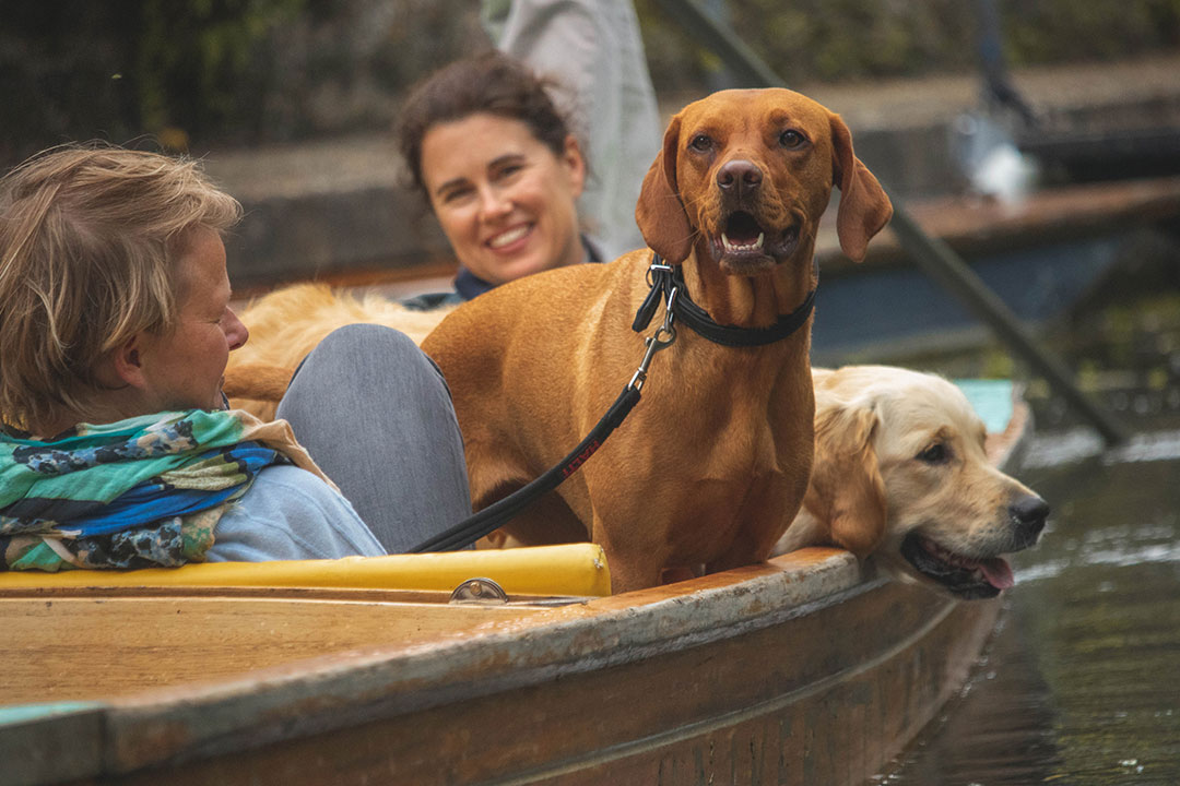 Rutherford's Punting - Can We Take The Dog